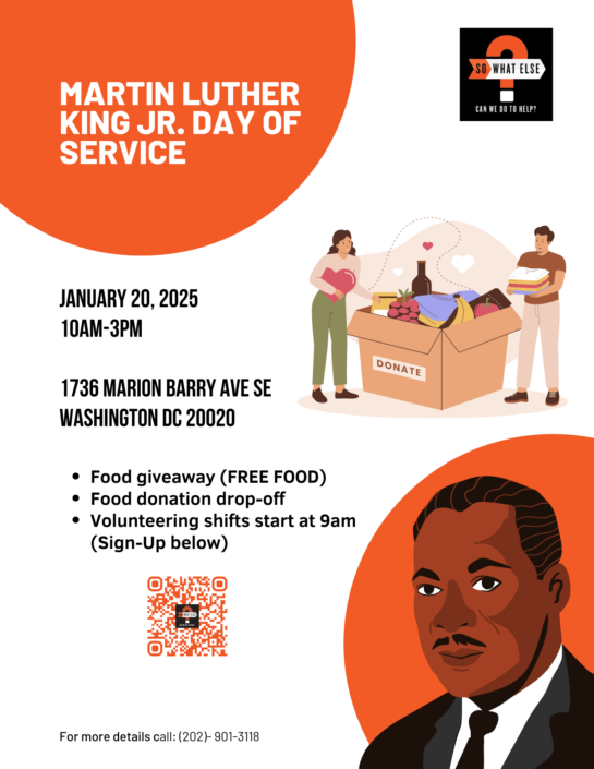 MLK Day of Service - So What Else Inc